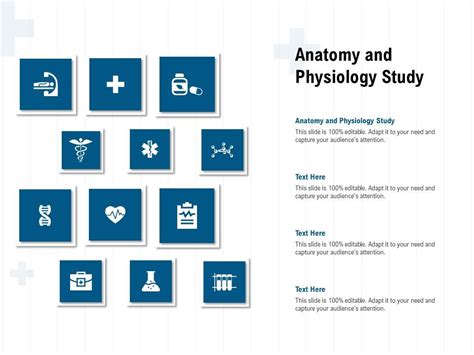 Anatomy And Physiology Study Ppt Powerpoint Presentation Gallery Show Presentation Graphics