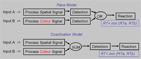 Schematic Representation Of The Different Parallel Processing Models Download Scientific