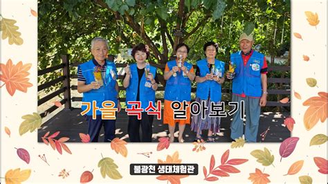 가을 곡식 알아보기 곡식 마라카스와 곡식 주머니 만들기 And 놀이 불광천 생태체험관 Youtube