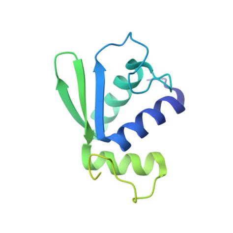 Rcsb Pdb 8g60 Mrna Decoding In Human Is Kinetically And Structurally Distinct From Bacteria