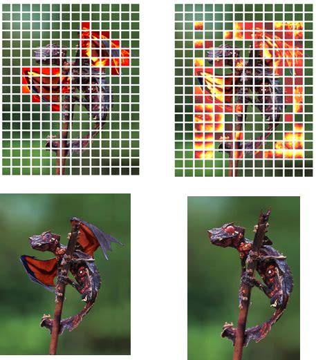 Image Forgery Detection Project CRML