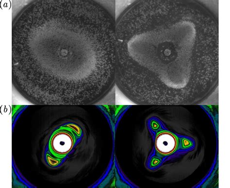 A Elliptical And Triangular Shapes Of The Paraboloidal Free Surface