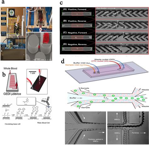 Microfluidic Devices With Positive Enrichment Technologies A Ctc Chip