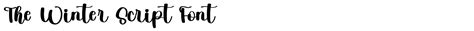 the winter script font