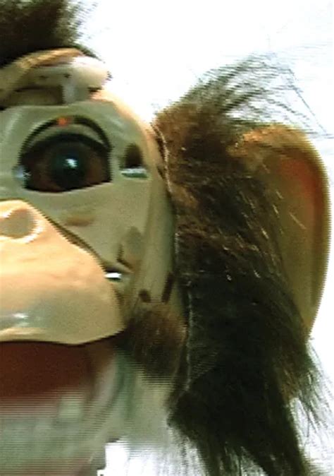 Error 406 Not Acceptable The Big Idea