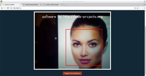 Example Of Custom Web App In Html5 And Plain Javascript Face Detection On A Video Stream From A