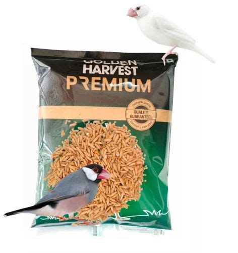 Java Special Seed Mixed 1kg Pack Breeding Period Seed Mix For All Variety Of Java Bird At