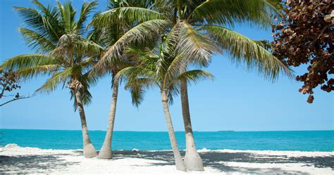 Of The Best Things To Do In Key West Florida Earth Trekkers