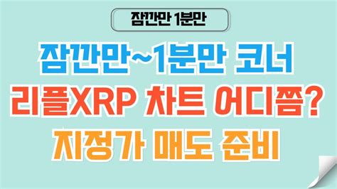 1분코인369 리플xrp 차트 지금 얼마나 상승한걸까 Xrp 리플 코인 비트코인 이더리움 Youtube