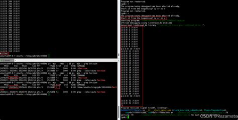 gdb的基本使用（1） gdb写内存命令 csdn博客