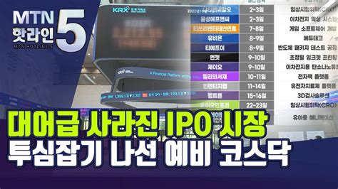 대어급 사라진 Ipo 시장 투심잡기 나선 예비 코스닥 머니투데이방송 뉴스 Youtube