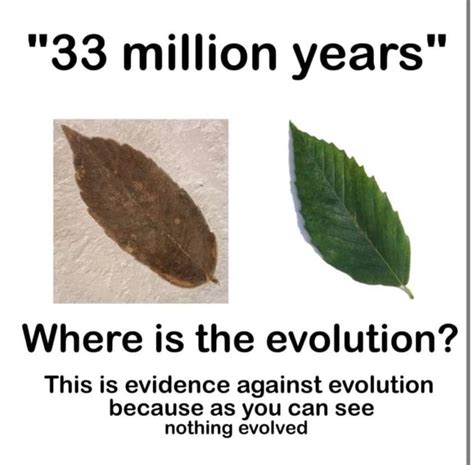 33 Million Years Where Is The Evolution This Is Evidence Against