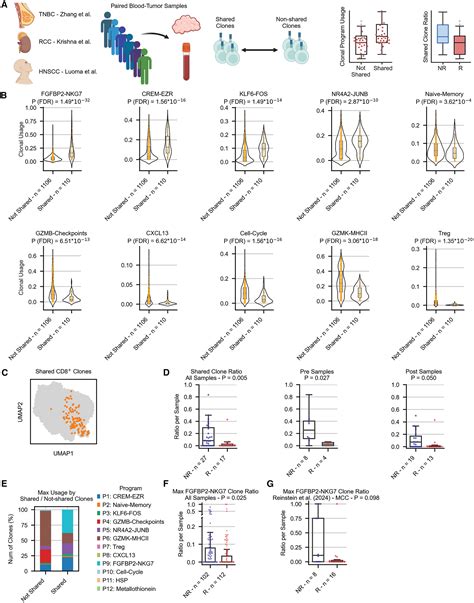 Single Cell Meta Analysis Of T Cells Reveals Clonal Dynamics Of Response To Checkpoint
