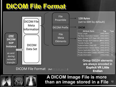 Dicom Structure Basics Pptx