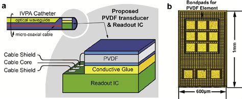 A Architecture Of The Proposed Ivpa Catheter B Schematic Of The Download Scientific