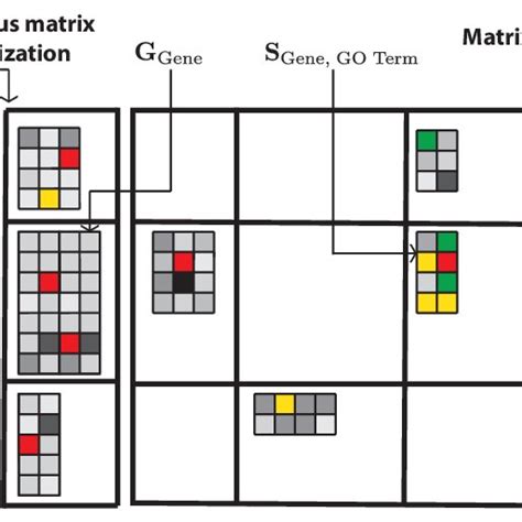An Example Of Data Fusion By Matrix Factorization That Combines Five