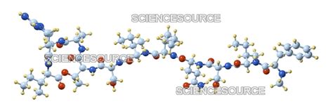 Teixobactin Antibiotic Molecule Stock Image Science Source Images
