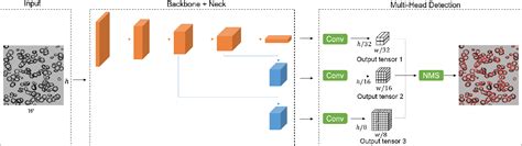 Figure 2 From End To End Bubble Size Distribution Detection Technique In Dense Bubbly Flows