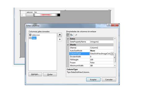 Visual Basic NET Foto En Datagridview