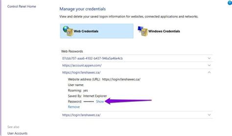 how to view password in credential manager windows 11 10 8 7