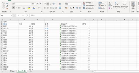 excel应用技巧之三——常用技巧 excel设置单元格格式通配符 csdn博客