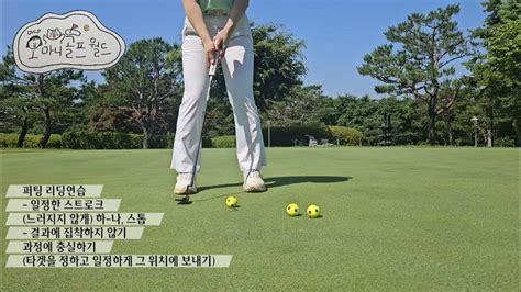 오마니골프월드613 그린에서 퍼팅 리딩연습하기 Youtube