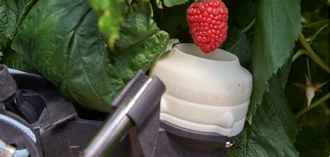 ebc leads seed round into raspberry picking robot developer hort news