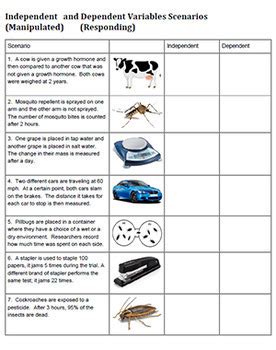 Independent And Dependent Variables Key By Biologycorner TPT
