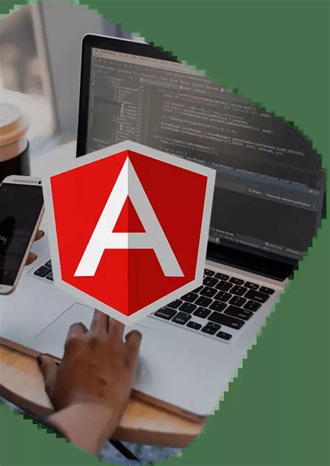 Web Designing Development Company Web Developer