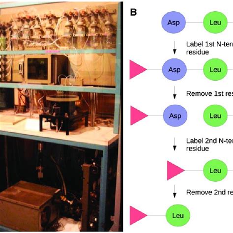 Pdf A Brief History Of Bioinformatics