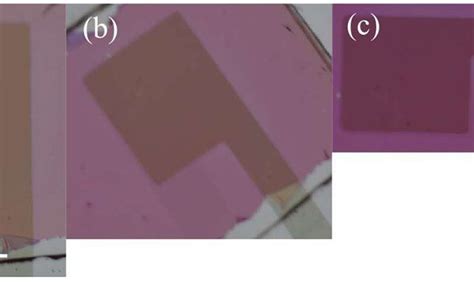 Researchers Cultivate New Device To Measure Polarization Of Light