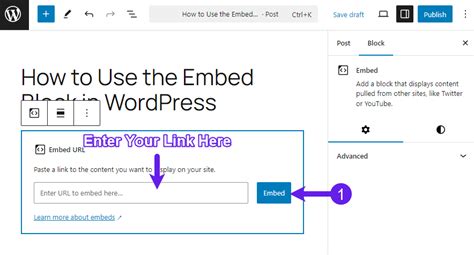 Embed Block How To Use It And Overview