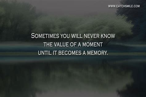 Sometimes You Will Never Know The Value Of A Moment Until It Becomes A Memory Catch Smile
