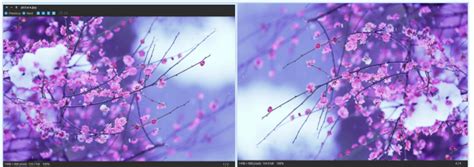 Working With Images In Python GeeksforGeeks