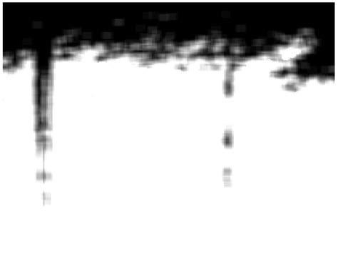 Surface Crack Detection Of Steel Structures In Railroad Industry Based On Multi Model Training