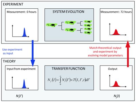 schematic representation of the transfer function approach to extract