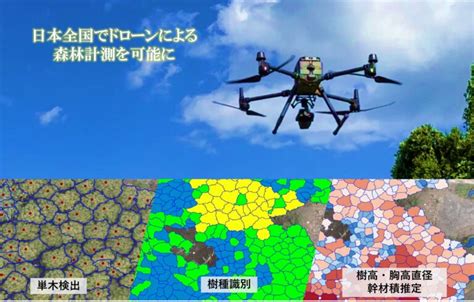 Deepforest Technologies、森林計測技術の普及促進へ「日本ドローン森林計測プラットフォーム」開設 Nft Times