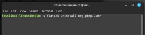 Simplify App Installation Guide To Flatpak On Linux Mint