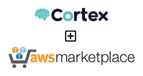 Thehive And Cortex On Aws — Ami Tutorials — Part 3a Launching Cortex Manually With The Aws