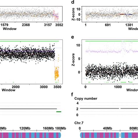 Example Of Fetal Cnvs Detection By Nipsccd A And D The Nipsccd