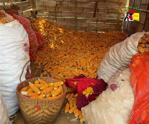 ပင်လုံမြို့နယ် ပြောင်းတွဲကား လက်နက်ကိုင်တပ်ဖွဲ့ က ငွေ တိုးကောက် သျှမ်းသံတော်ဆင့်