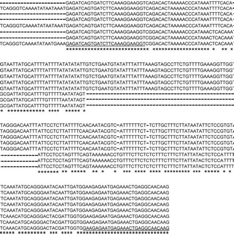 Multiple Sequence Alignment Of Papaya Sex Diagnosis Marker F8r9