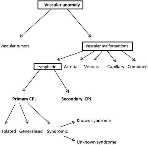 Classification Of Congenital Pulmonary Lymphangiectasis Download Scientific Diagram
