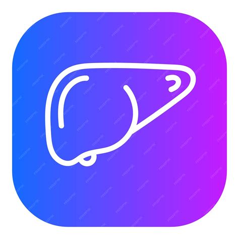 Premium Vector Liver Vector Illustration