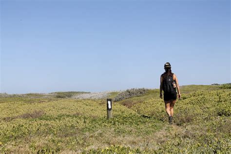 Hikes Walks Trails Agulhas National Park Sanparks