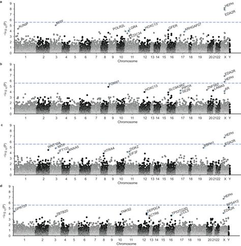 Analysis Of 72469 Uk Biobank Exomes Links Rare Variants To Male Pattern Hair Loss Pmc