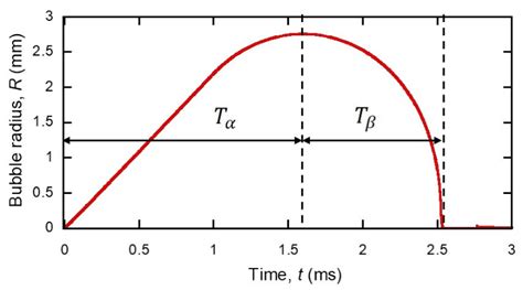 Numerical Results Of Typical Bubble Behavior Simulating For The Mercury