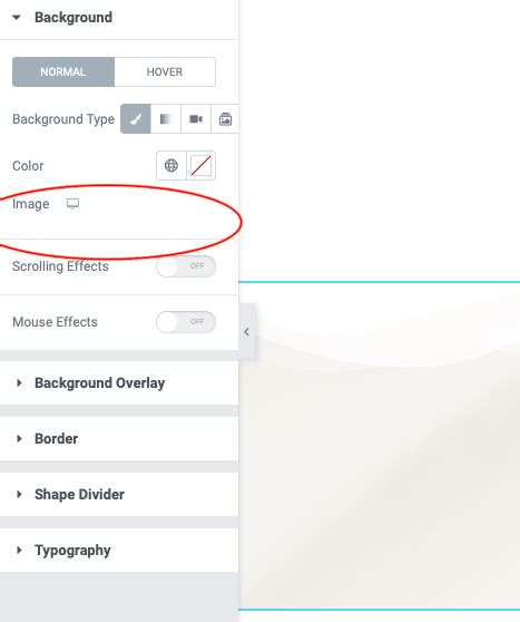 🐞 Bug Report The Image Control Is Missing In The Edit Section After Updating To V311 Safari