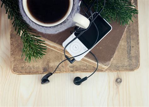 Audio Codecs From Common Choices To The Best Pick