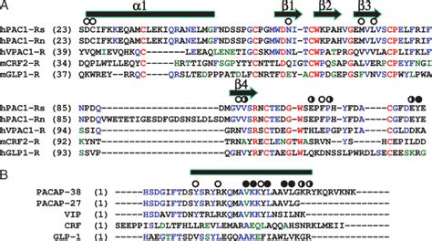 Sequence Alignment Of The N Terminal Ec Domain Of Several Related Class